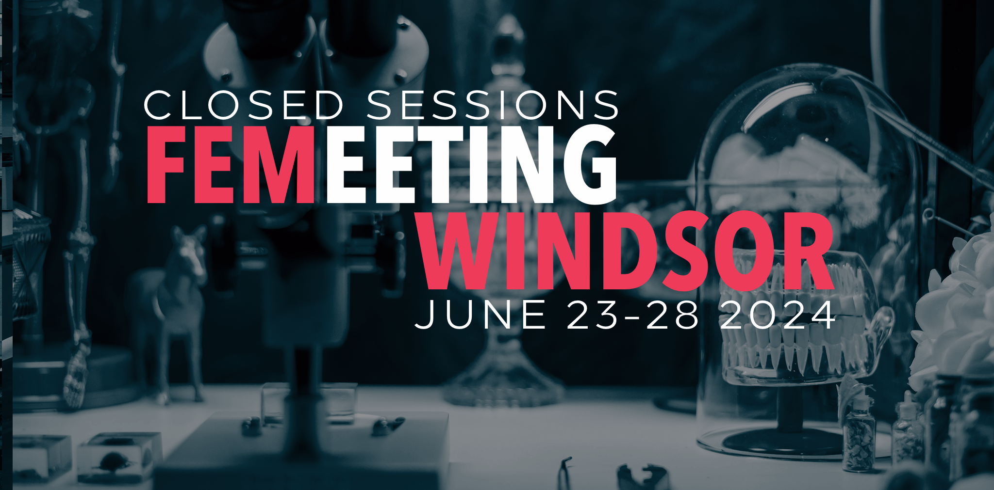 Closed Sessions – FEMeeting